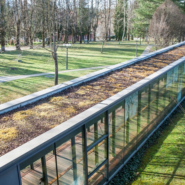 What is a Glass Link?